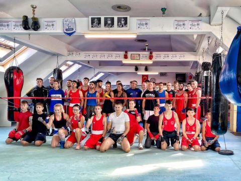 Galerie | BOX-RING Eisenstadt